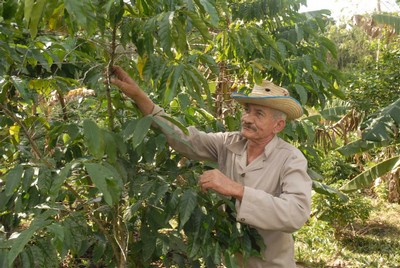Cuba Farmers Committed to Back Economic Strategies – Escambray
